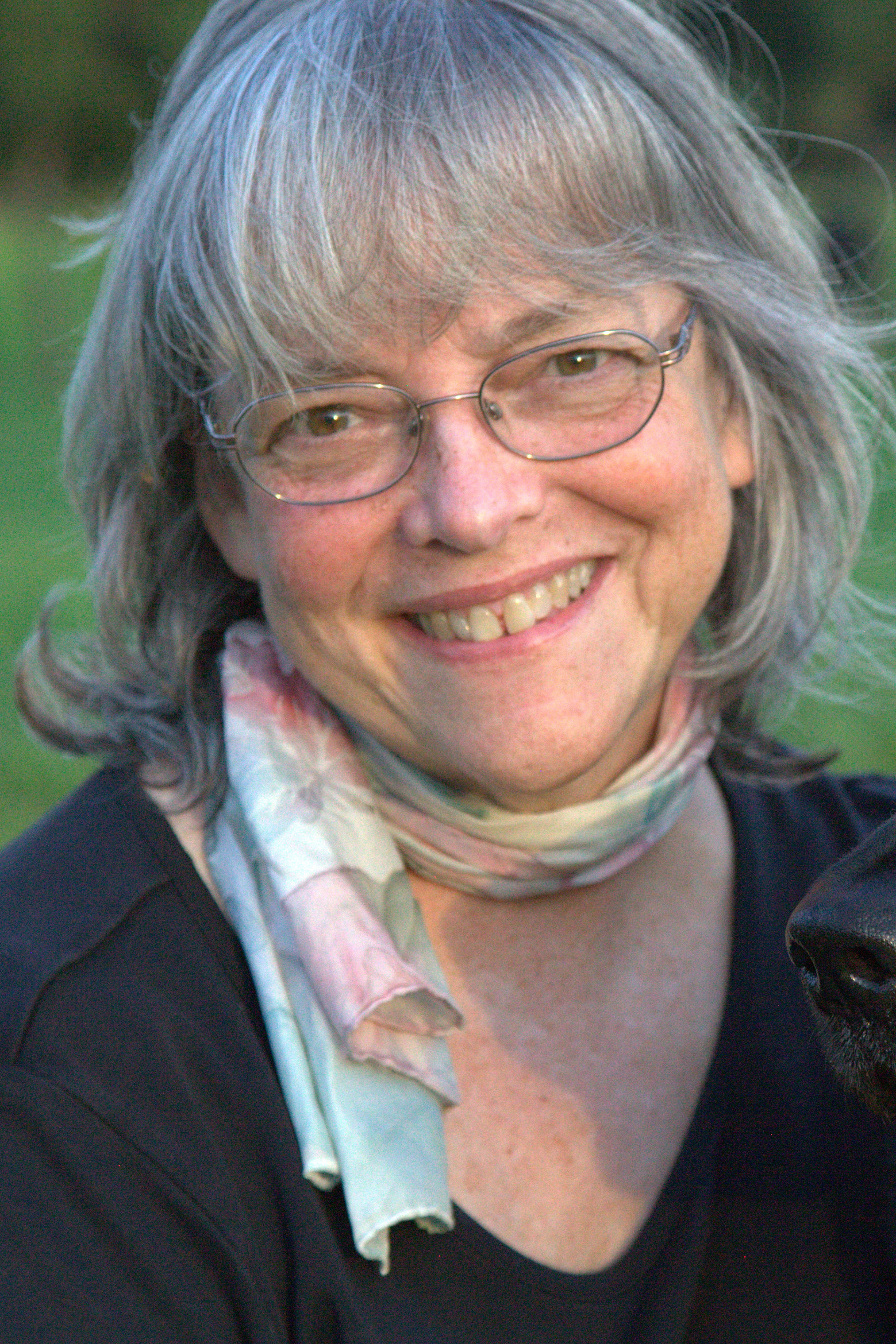 Search. Find. Explore | The Many Faces of Bob, A Therapy Dog